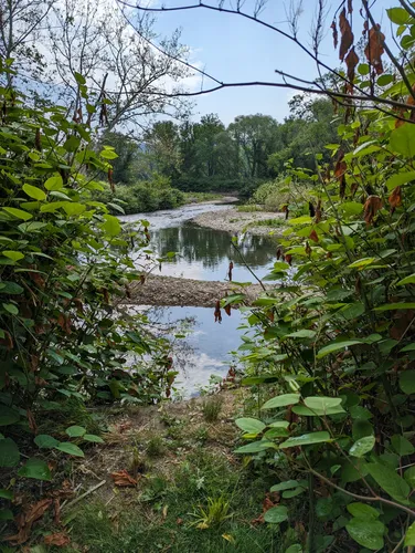 Best Hikes and Trails in Riverfront Park | AllTrails