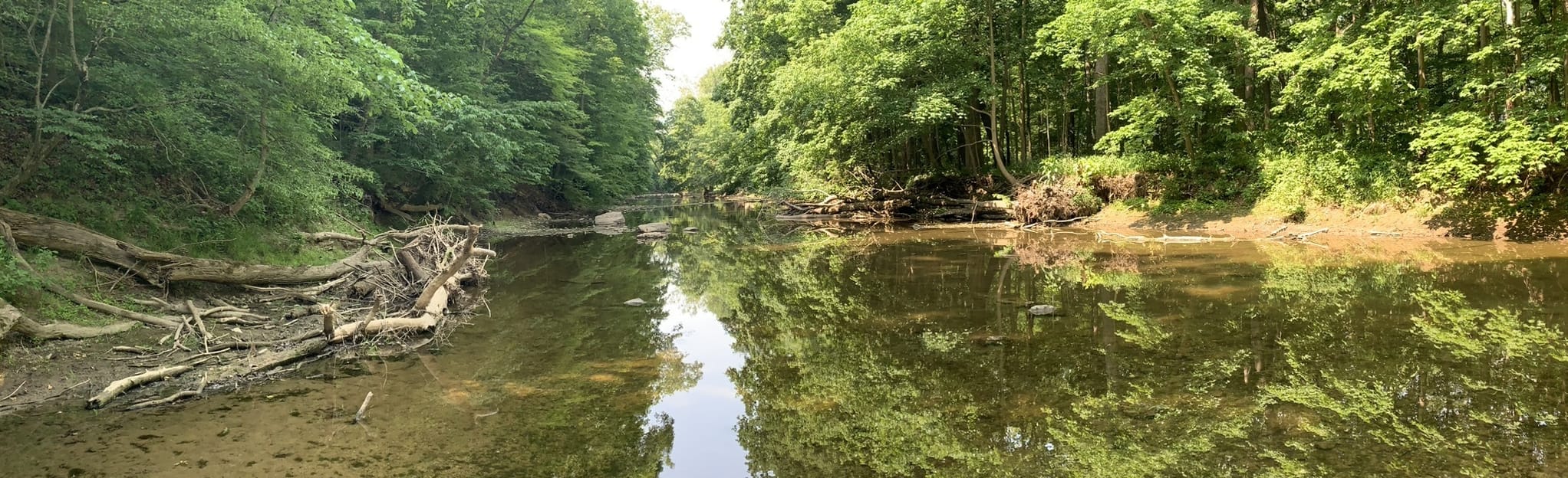 Sears Woods State Nature Preserve Loop Trail: 65 Reviews, Map - Ohio ...