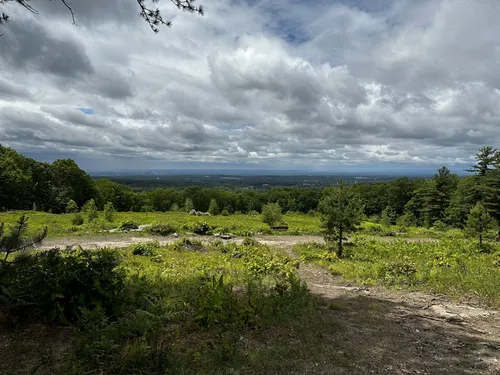 10 Best Hikes and Trails in Case Mountain Park | AllTrails