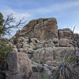 Turtle Rock Loop, California - 71 Reviews, Map | AllTrails