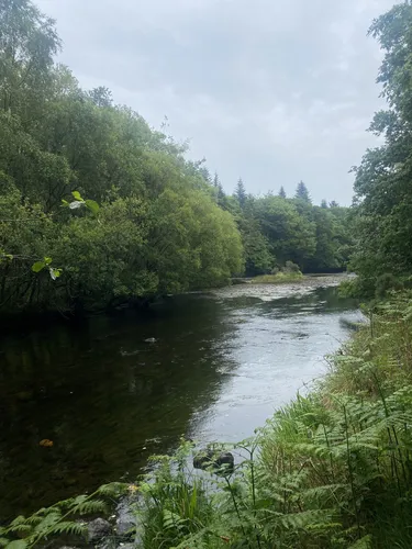 10 Best Trails and Hikes in Rathdrum | AllTrails