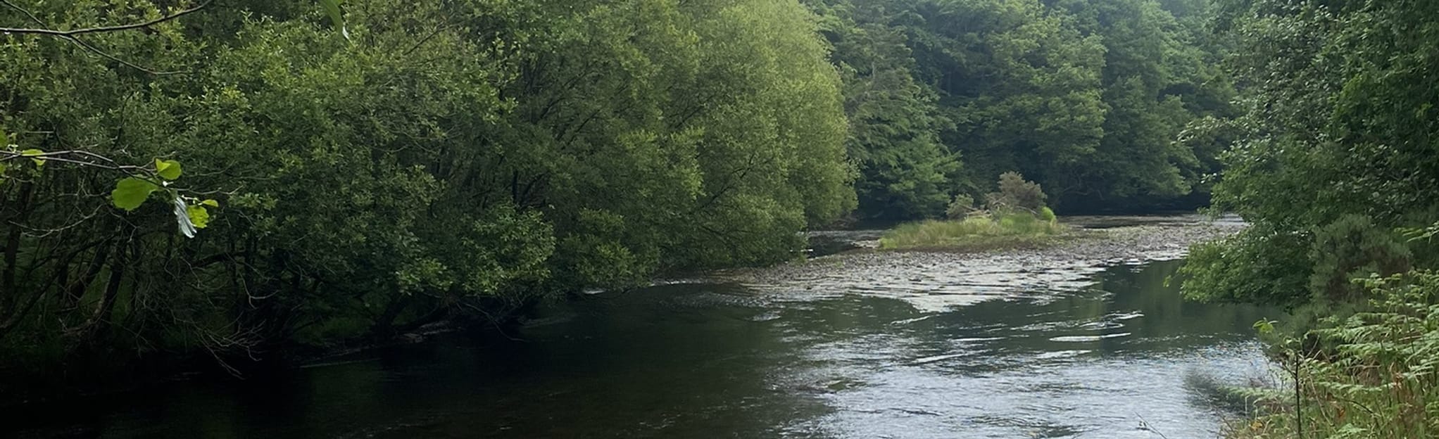 Ballygannon Wood, County Wicklow, Ireland - 31 Reviews, Map | AllTrails