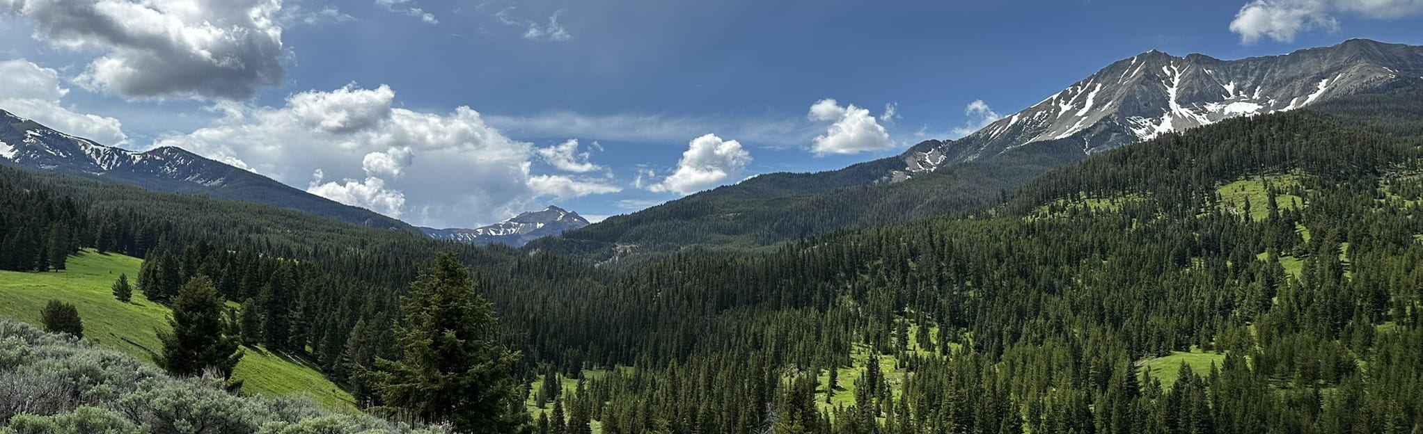 Jack Creek Trail #317, Montana - 34 Reviews, Map | AllTrails