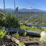 Square Lake, Oregon - 255 Reviews, Map | AllTrails