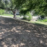 Walnut Springs Trail via Walnut Springs Park, Texas - 58 Reviews, Map ...