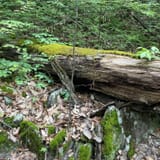 Sloan Gorge Loop, New York - 507 Reviews, Map | AllTrails
