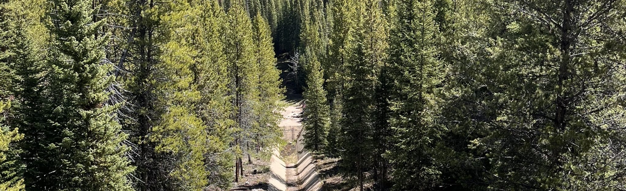 Blue Sky Loop, Colorado - 766 Reviews, Map | AllTrails