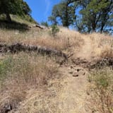 Murietta Falls Trail, California - 681 Reviews, Map | AllTrails