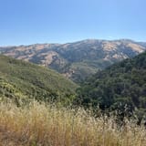 Murietta Falls Trail, California - 681 Reviews, Map | AllTrails