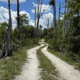 Apoxee and Owahee Trail Loop, Florida - 321 Reviews, Map | AllTrails