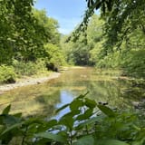 Blue Bend Loop Trail, West Virginia - 125 Reviews, Map | AllTrails