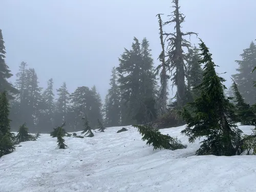 Best Hikes and Trails in Sasquatch Mountain Resort | AllTrails