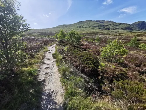 Best 10 Hikes and Trails in Ben Lawers National Nature Reserve | AllTrails