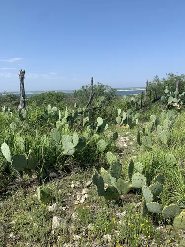 2023 Best River Trails in Del Rio | AllTrails