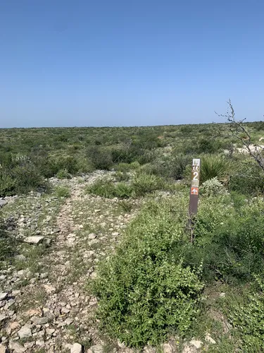 2023 Best River Trails in Del Rio | AllTrails
