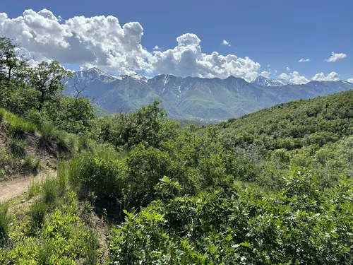 10 Best Hikes and Trails in Corner Canyon Regional Park | AllTrails