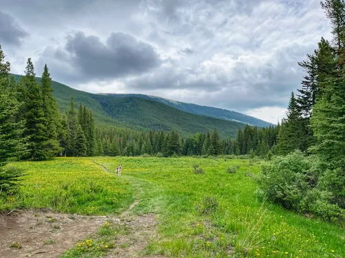10 Best Trails and Hikes in Bragg Creek | AllTrails