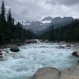Mistaya Canyon, Alberta, Canada - 436 Reviews, Map | AllTrails