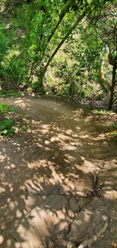 Best Hikes and Trails in Water Dog Lake Open Space | AllTrails