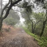 East Ridge Trail to West Ridge Trail Loop from Skyline Blvd, California ...