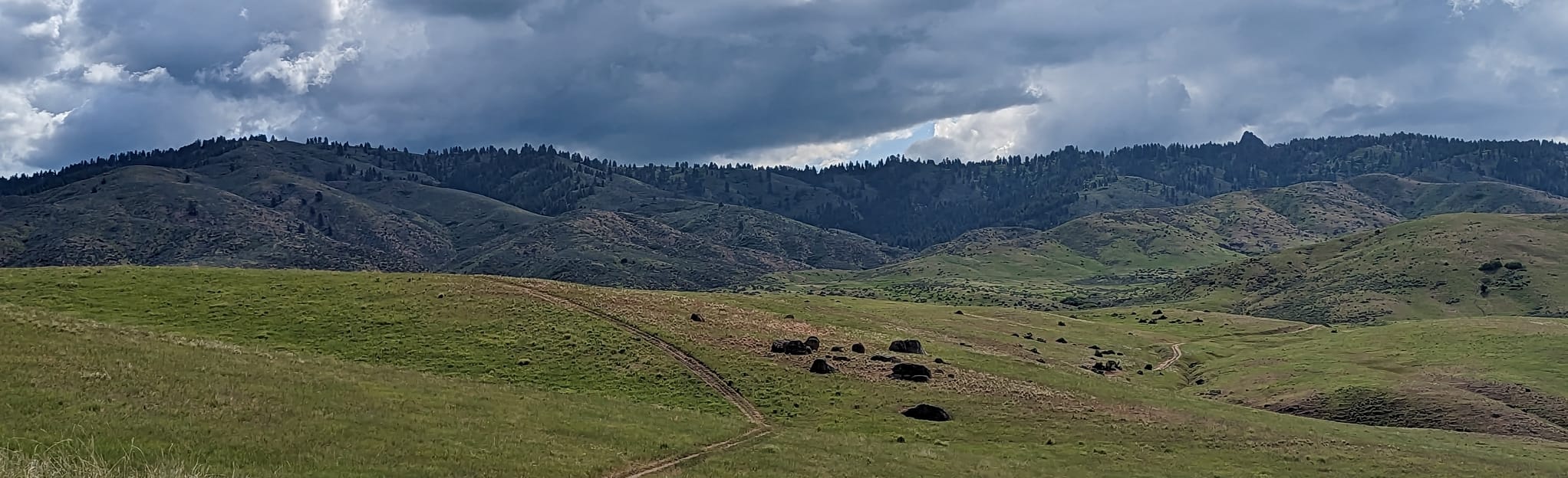 AllTrails | Burnt Car Draw Trail: 15 Reviews, Map - Idaho