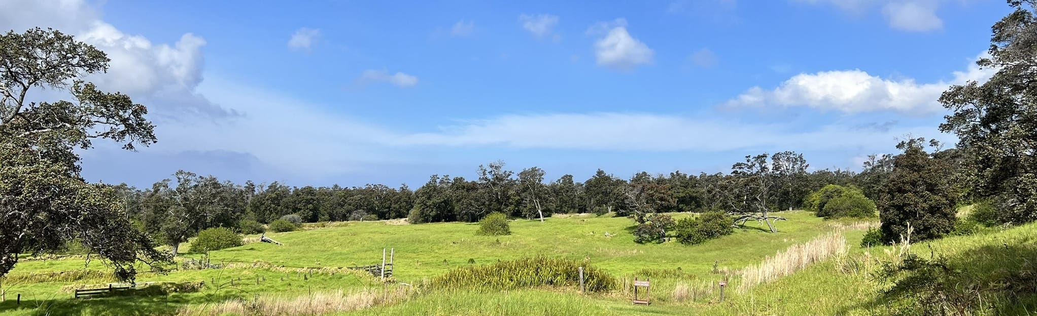 Palm Trail, Hawaii, Hawaii - 58 Reviews, Map | AllTrails