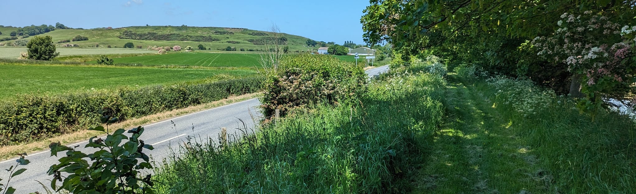 Stone in Oxney Circular: 15 Reviews, Map - Kent, England | AllTrails