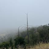 Newhall Pass: Weldon Canyon Trail, California - 236 Reviews, Map ...