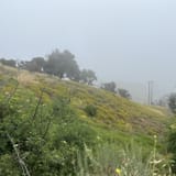 Newhall Pass: Weldon Canyon Trail, California - 236 Reviews, Map ...