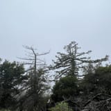 Newhall Pass: Weldon Canyon Trail, California - 236 Reviews, Map ...