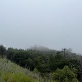 Newhall Pass: Weldon Canyon Trail, California - 236 Reviews, Map ...