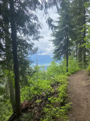 Best 10 Hikes and Trails in Mount Revelstoke National Park | AllTrails
