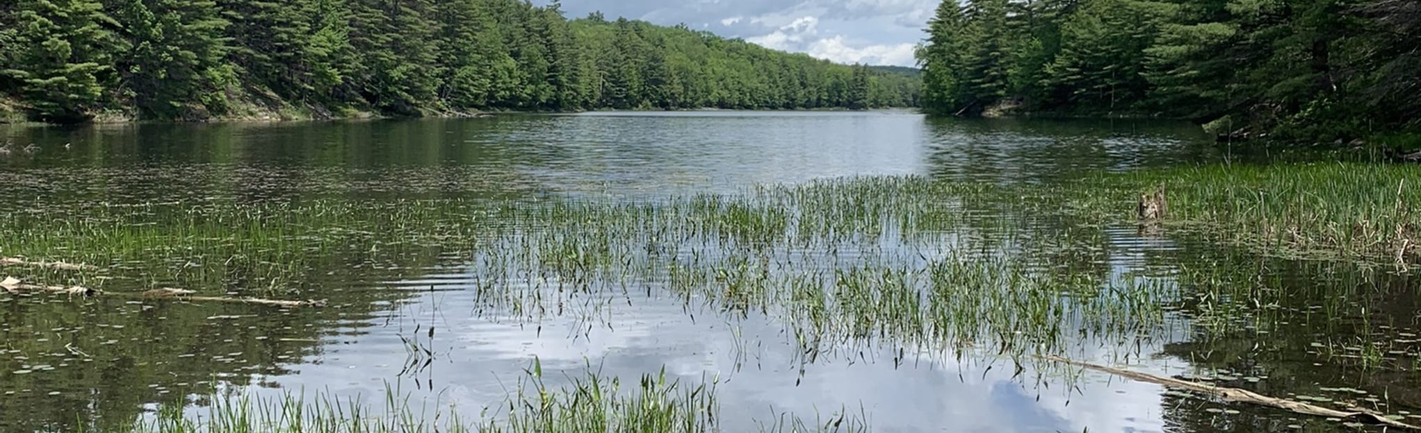 Island Pond and Long Pond Trail : 12 Photos - État de New York ...