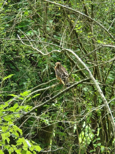 Best Hikes and Trails in George Pierce County Park | AllTrails