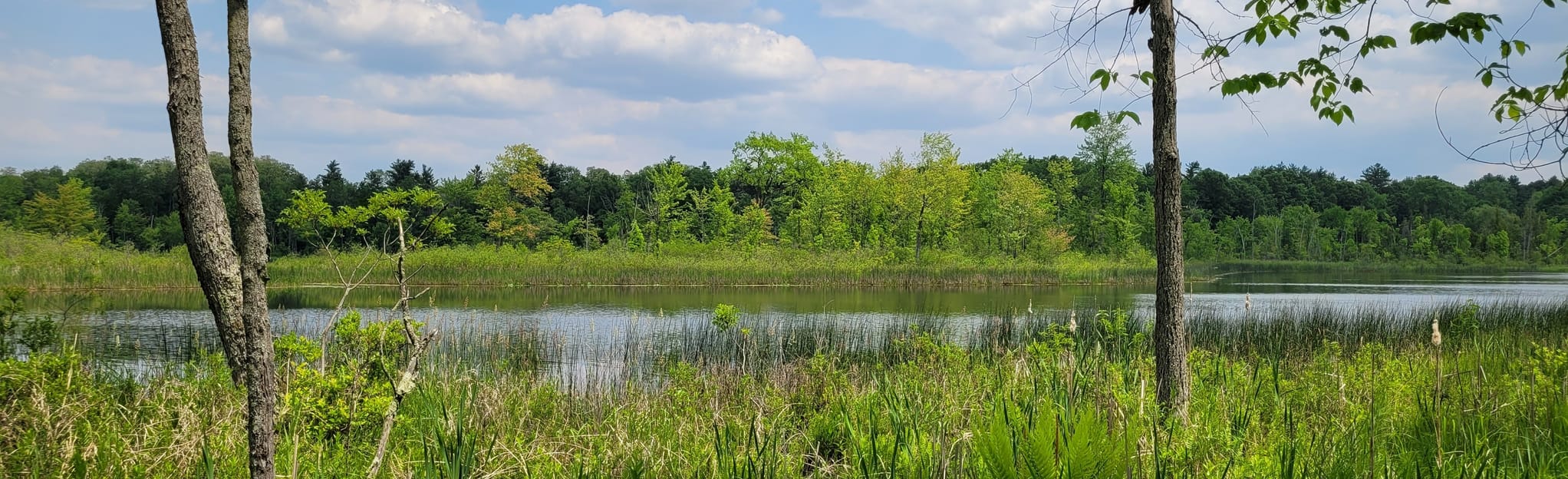 Seven Ponds Nature Loop, Michigan - 83 Reviews, Map | AllTrails