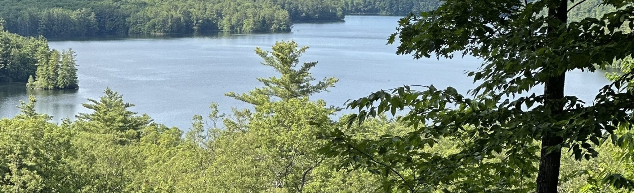 Swope Loop to Pine Hill, New Hampshire - 106 Reviews, Map | AllTrails