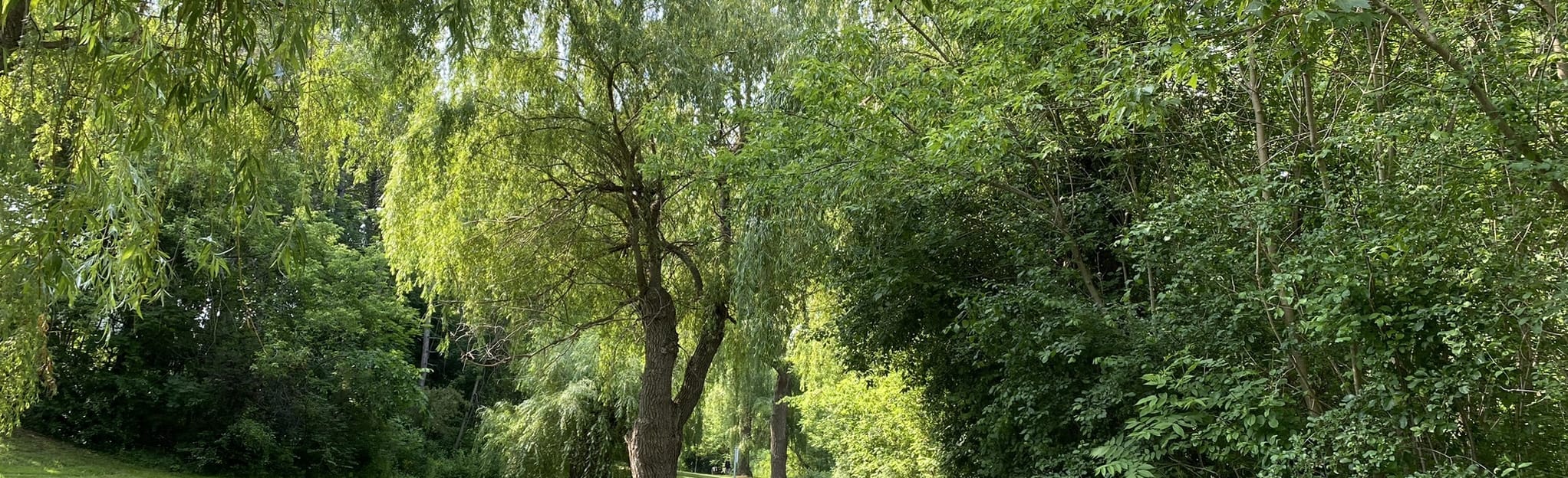 Royal Orchard Park: 42 Reviews, Map - Ontario, Canada | AllTrails