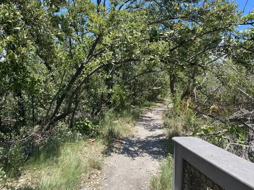 Best Hikes and Trails in Lemon Bay Park | AllTrails