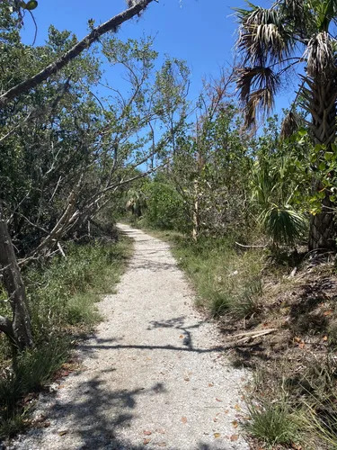 Best Hikes and Trails in Lemon Bay Park | AllTrails