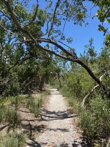 Best Hikes and Trails in Lemon Bay Park | AllTrails