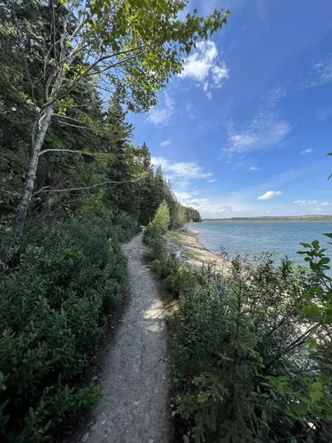 Best Hikes and Trails in Weaselhead Flats | AllTrails