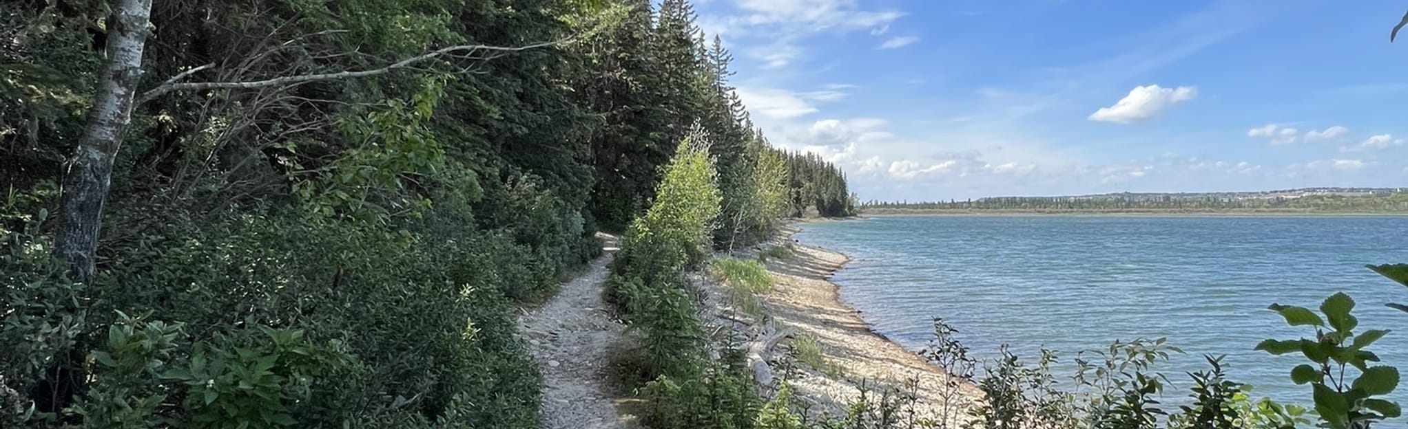 Weaselhead Pink and Red Trail Loop: 236 fotos - Alberta, Canadá | AllTrails