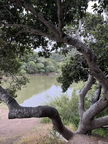 Best Hikes and Trails in Water Dog Lake Open Space | AllTrails