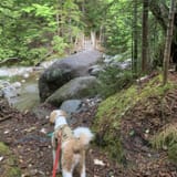 Hanging Spear Falls via Calamity Brook Trail, New York - 130 Reviews ...