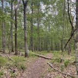 Bear Creek Preserve Waterfall via Green Trail, Pennsylvania - 448 ...