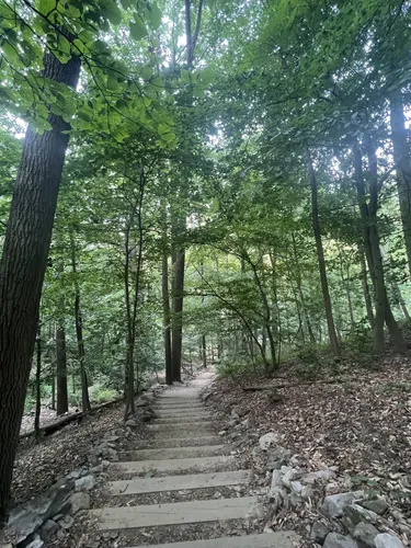 Best Hikes and Trails in Great Valley Nature Center | AllTrails