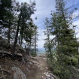 Whipple Trail, Utah - 297 Reviews, Map | AllTrails