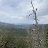 Whipple Trail, Utah - 297 Reviews, Map | AllTrails