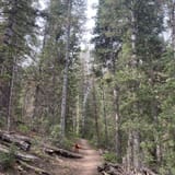 Whipple Trail, Utah - 297 Reviews, Map | AllTrails