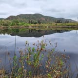 Barbara's Lake Loop Trail, California - 875 Reviews, Map | AllTrails